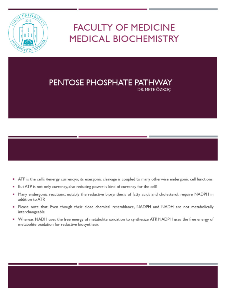Pentose Phosphate Pathway | PDF | Science & Mathematics