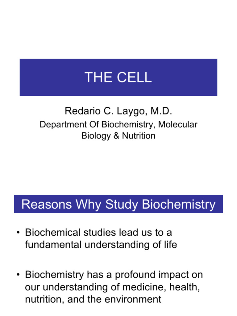 The Cell 3 | PDF | Mitochondrion | Endoplasmic Reticulum