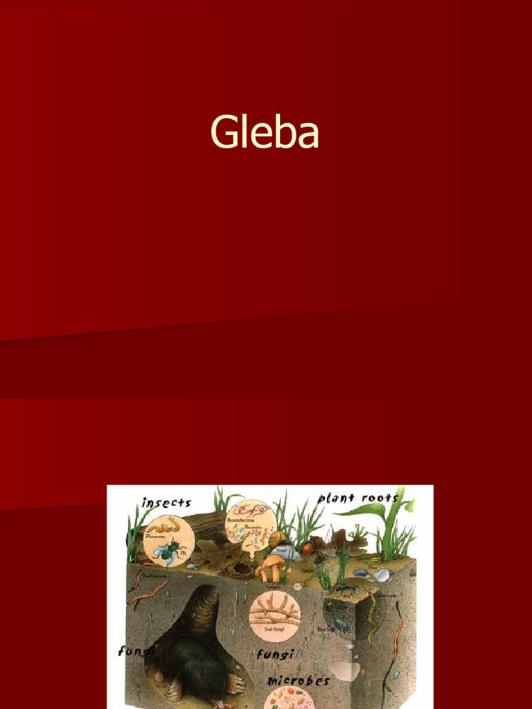 Gleba 2022 | PDF