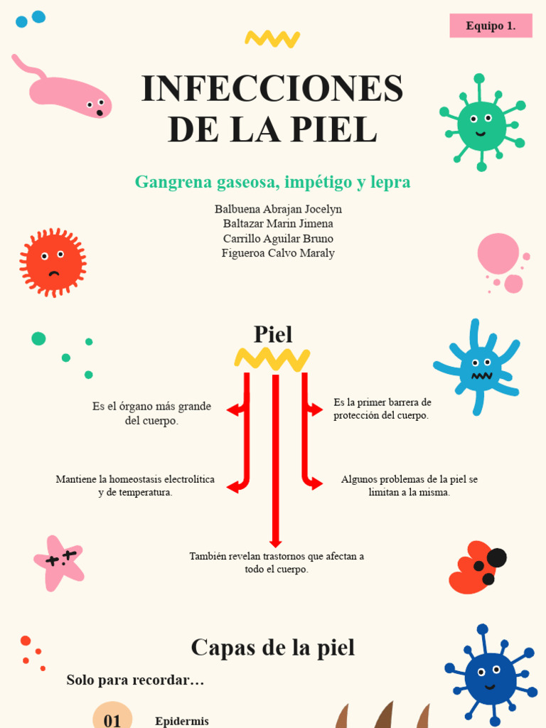 Infecciones de Piel. M | PDF | Staphylococcus Aureus | Las bacterias
