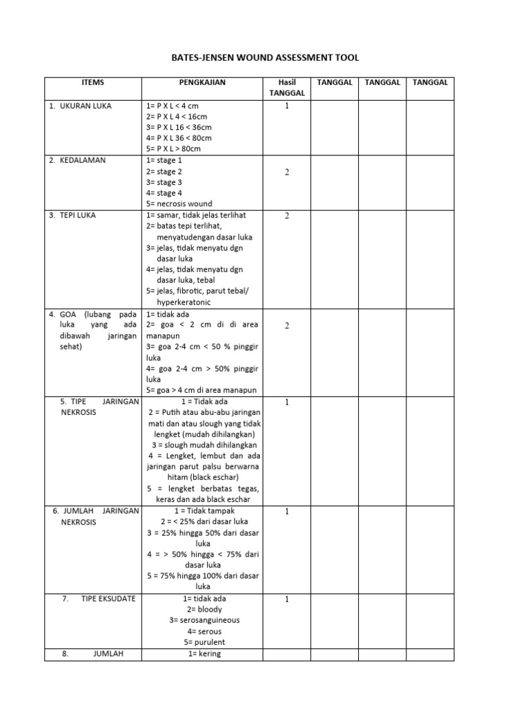 Bates-Jensen Wound Assessment Tool | PDF