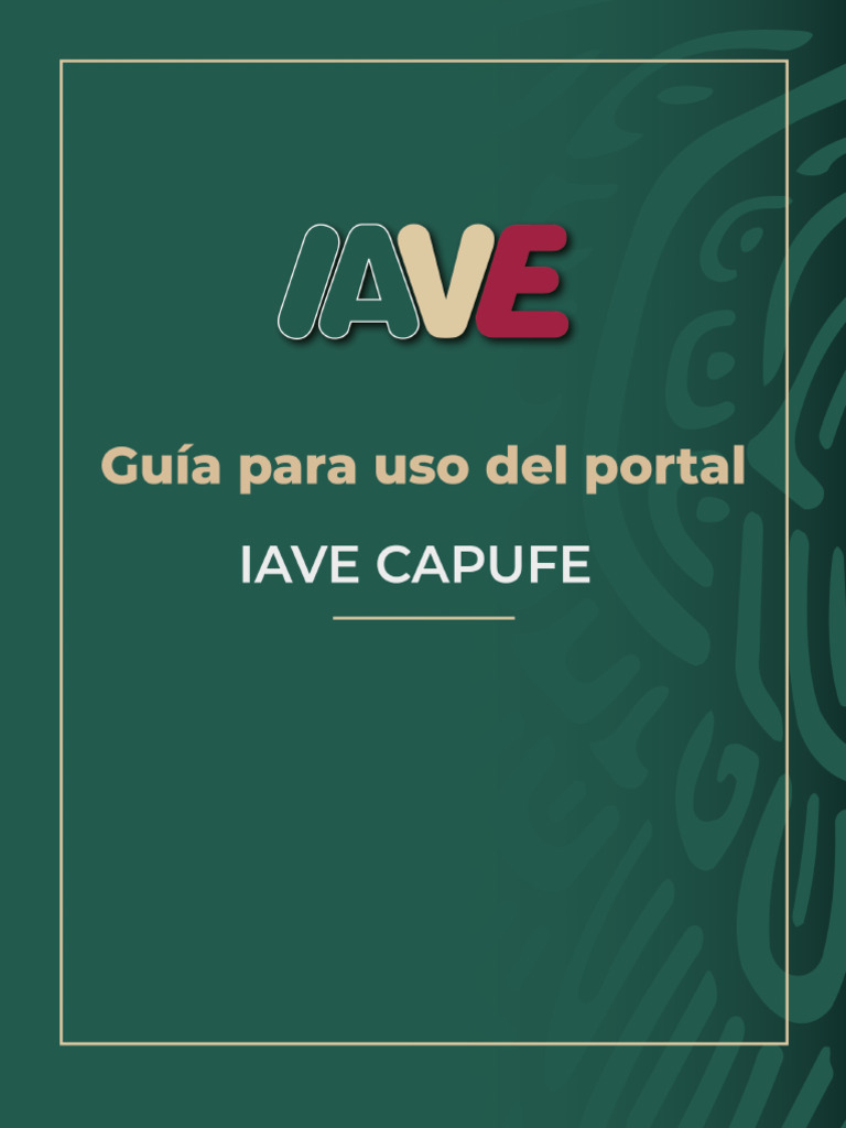 Guia Iave | PDF | Tarjeta de débito | Industrias de servicio