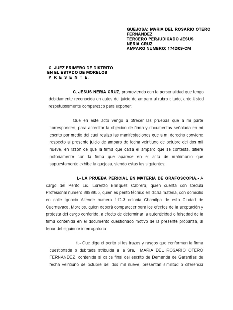 La Prueba Pericial en Materia de Grafoscopia Amparo[1][1] | Perito ...