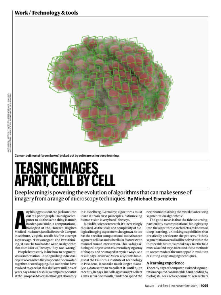 TEASING IMAGES APART, CELL BY CELL | PDF | Deep Learning | Image Segmentation