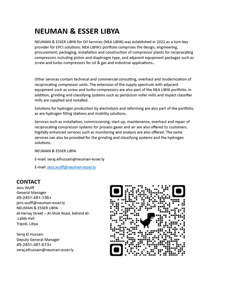 Neuman & Esser Libya | PDF