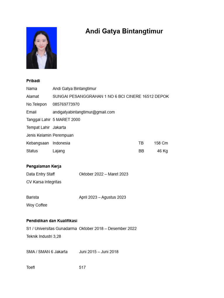 CV - Andi Gatya Bintangtimur | PDF