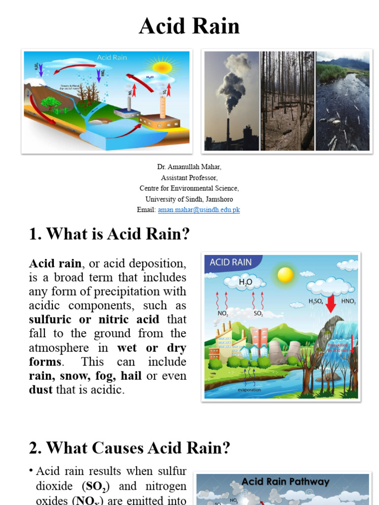 Acid Rain | PDF