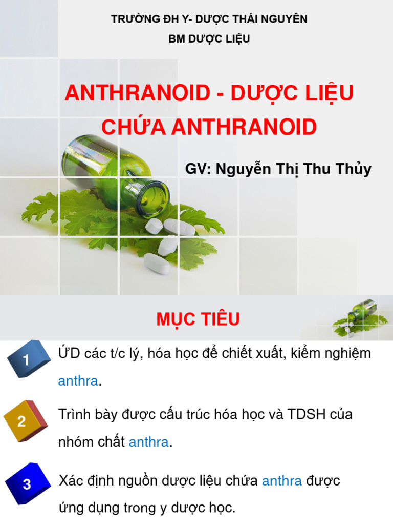 Anthranoid THUY 2023 | PDF