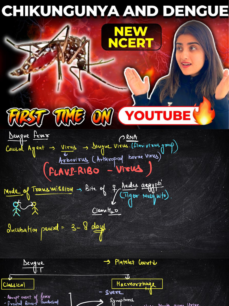 Lecture 1 Pdf