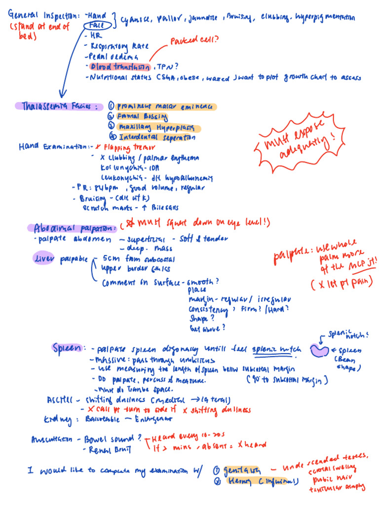 DR Farin Thalassemia Teaching Haematology | PDF | Spleen | Blood
