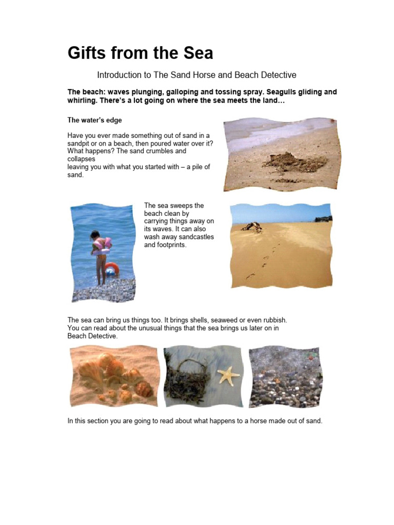 Year-3-2003-Reading-Booklet-Gifts-from-the-Sea (1) | PDF