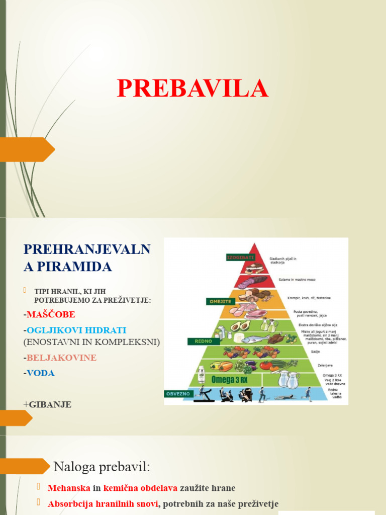 Prebavila | PDF