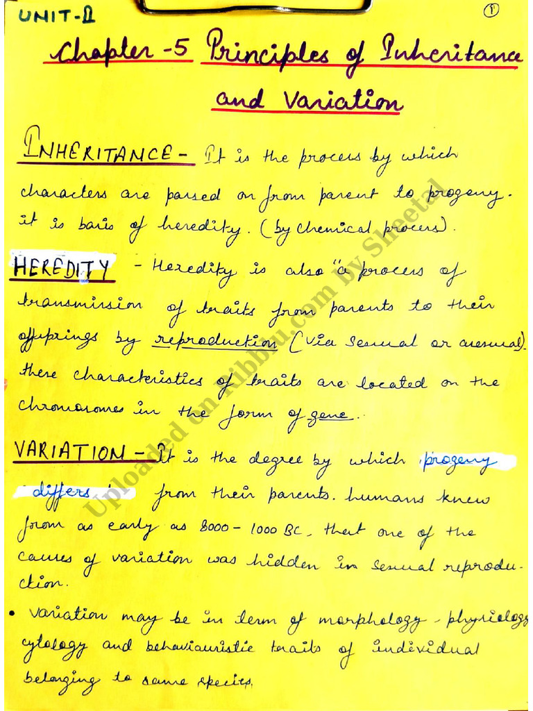 Class 12 Biology Handwritten Notes PDF 2022 Chapter 5 Principles of ...