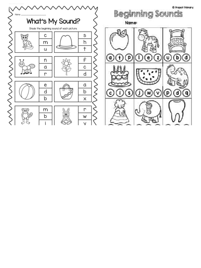 Phonics Beginning Sounds | PDF