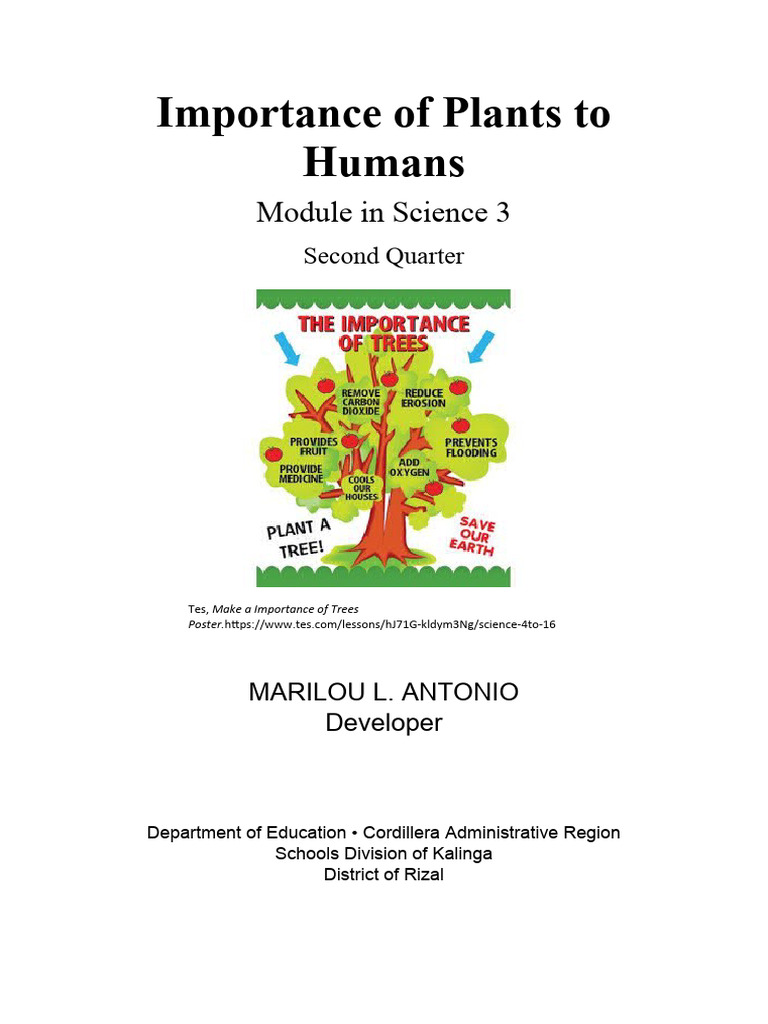 sc3 q2 Impt of Plants To Humans by Marilou Antonio | PDF | Trees | Plants