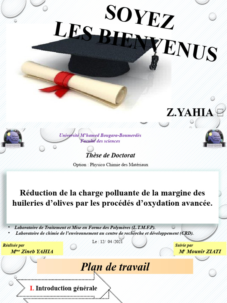 Powerpoint Zeineb | PDF