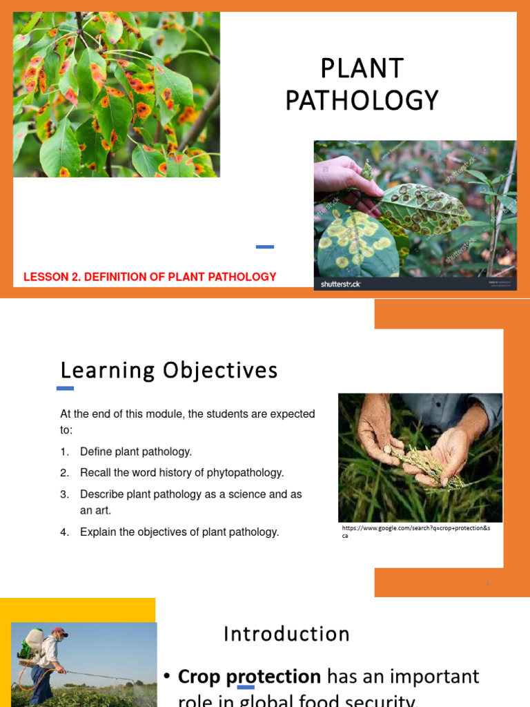 Introduction to Plant Pathology | PDF | Plant Pathology | Infection