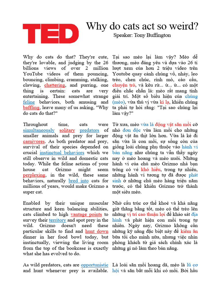 Why Do Cats Act So Weird | PDF