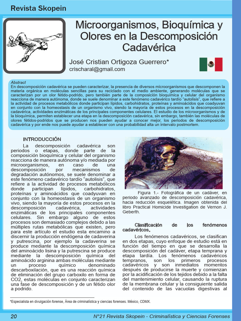 Fase Cromatica, Enfisematosa, Licuefactiva, Esqueletización y ...