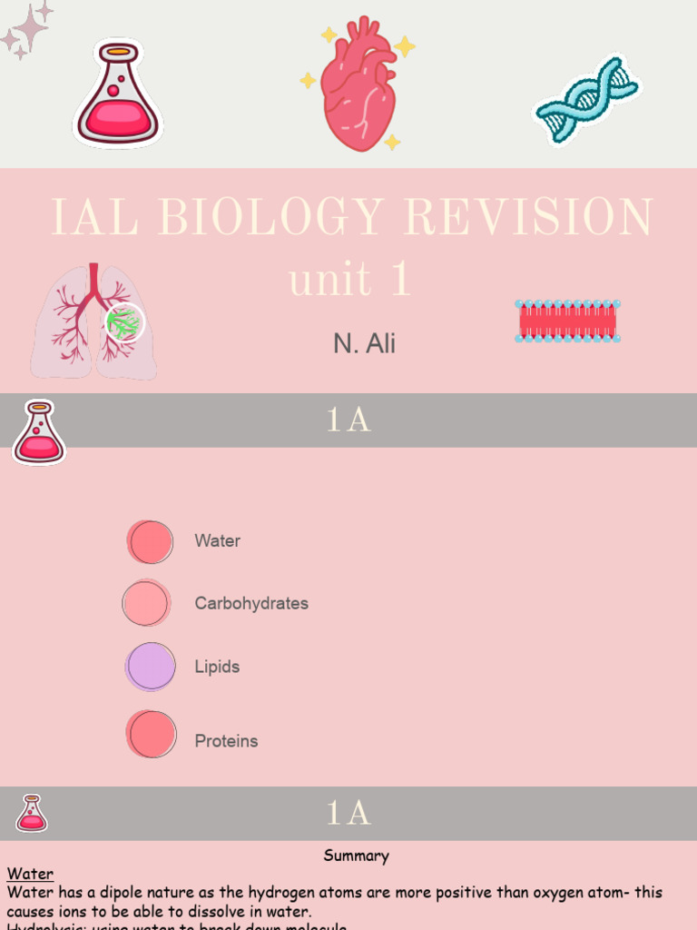 IAL Edexcel Biology AS Unit 1 Revision | PDF | Dna | Translation (Biology)