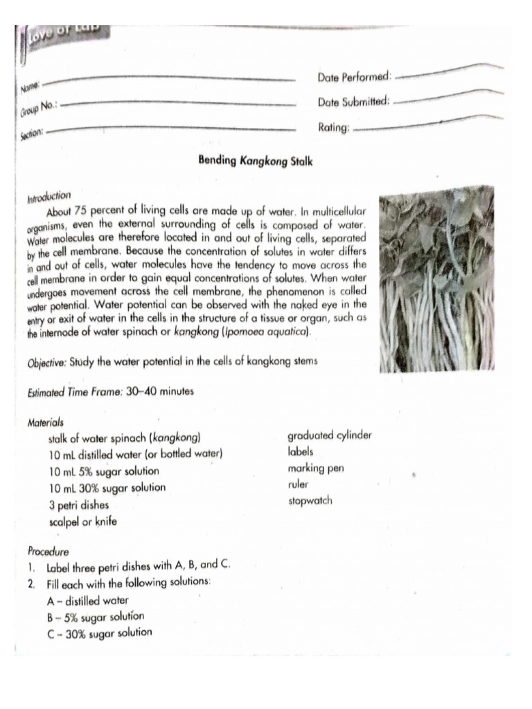 Worksheet No. 2 | PDF