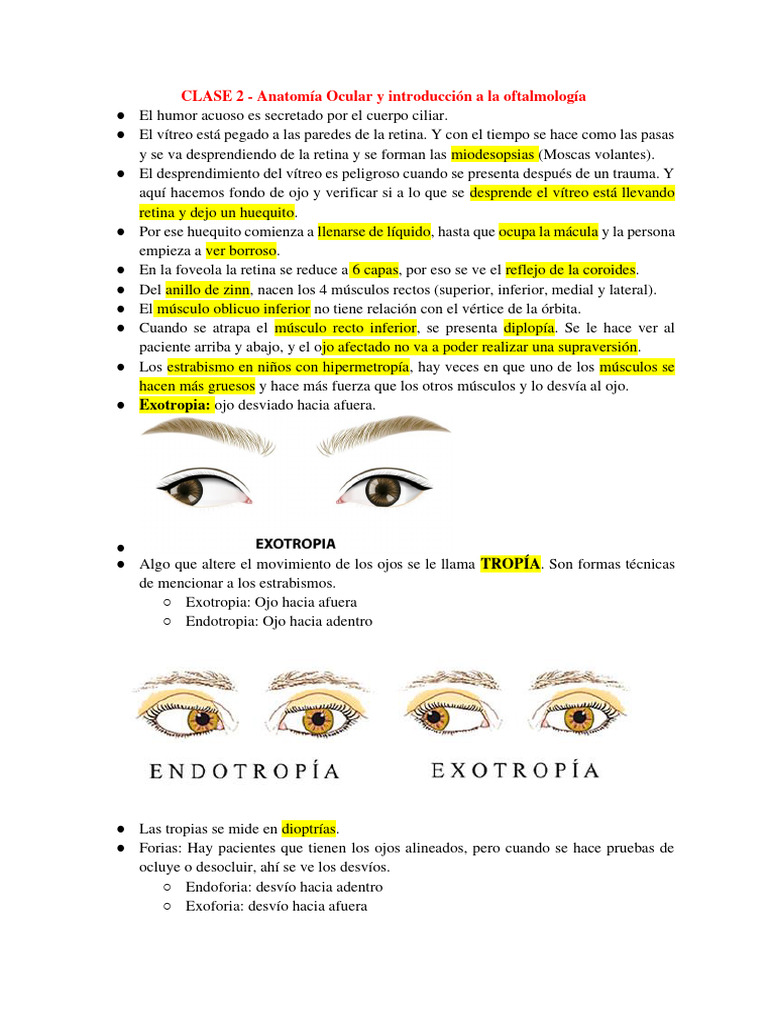 Clase 2 Introduccion A La Oftalmologia | PDF | Ojo humano | Glaucoma Clase 2 Introduccion A La Oftalmologia | PDF | Ojo humano | Glaucoma