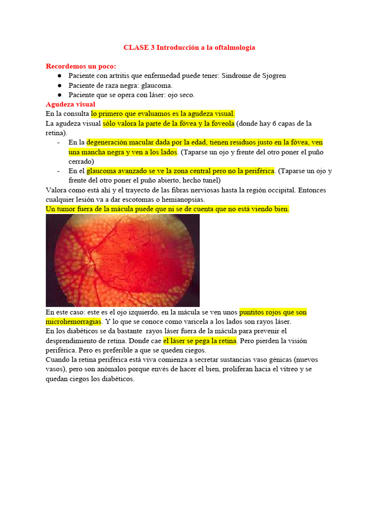 Clase 3 - Oftalmología | Descargar gratis PDF | Ojo humano | Percepción visual