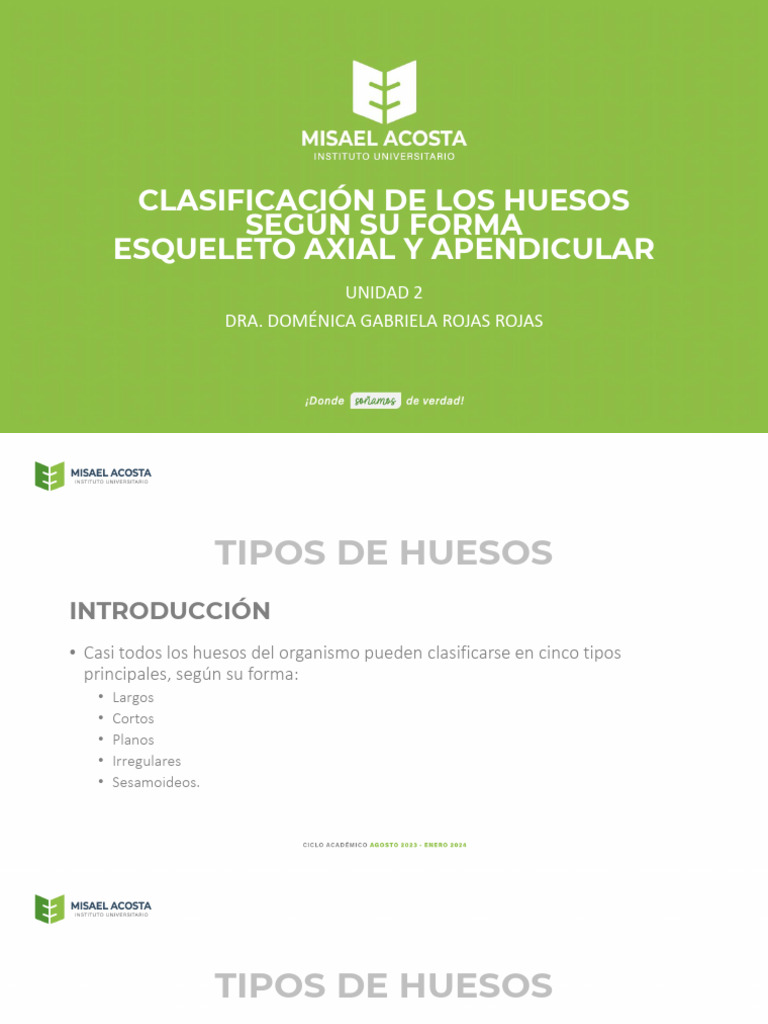 Clasificacion Del Hueso | PDF | Hueso | Esqueleto
