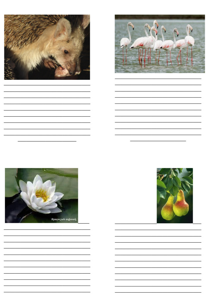 Karmir Girq Poqr | PDF