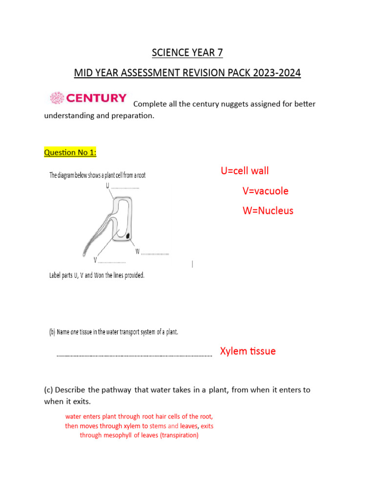 Year 7 Science Revision Pack Key | PDF