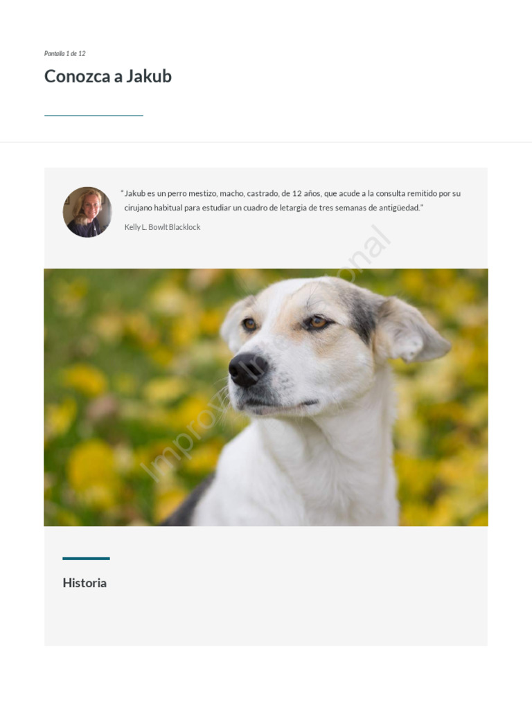 Caso Practico 1 Jakub 3plo3ANk | PDF | Lesión | Abdomen