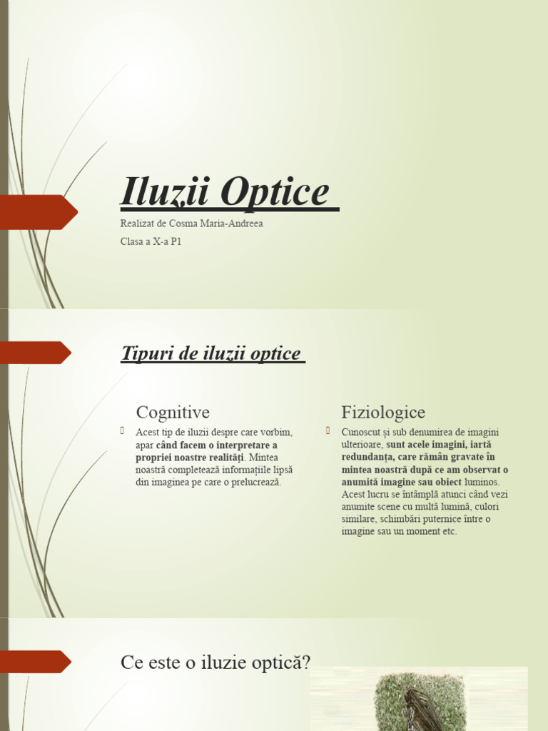 Iluzii Optice - Copie | PDF