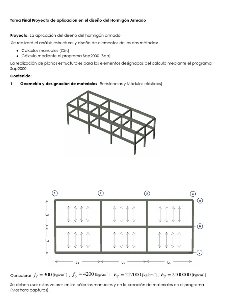 Tarea Final Proyecto | PDF
