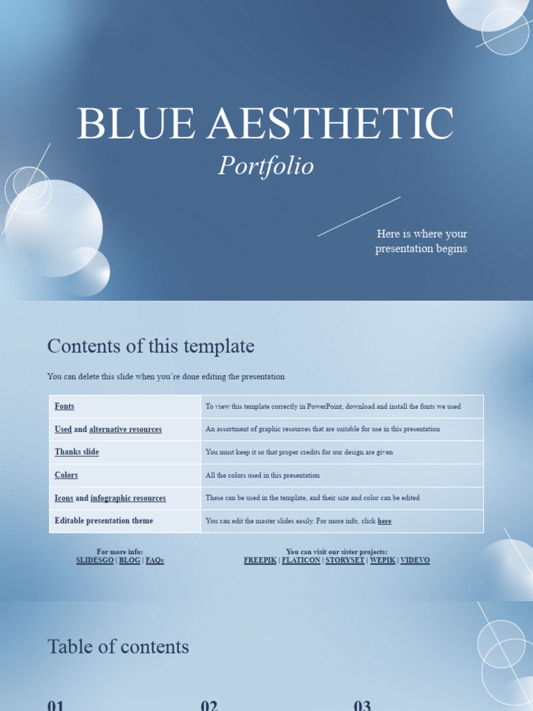 Blue Aesthetic Portfolio | PDF