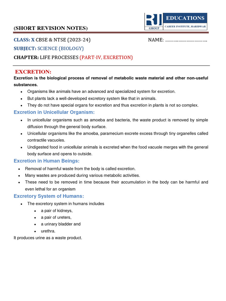 Class X Biology: Excretion Notes | PDF | Kidney | Excretion