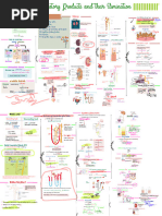 Excretory Products and Their Elimination Class 11 Notes Biology | PDF ...