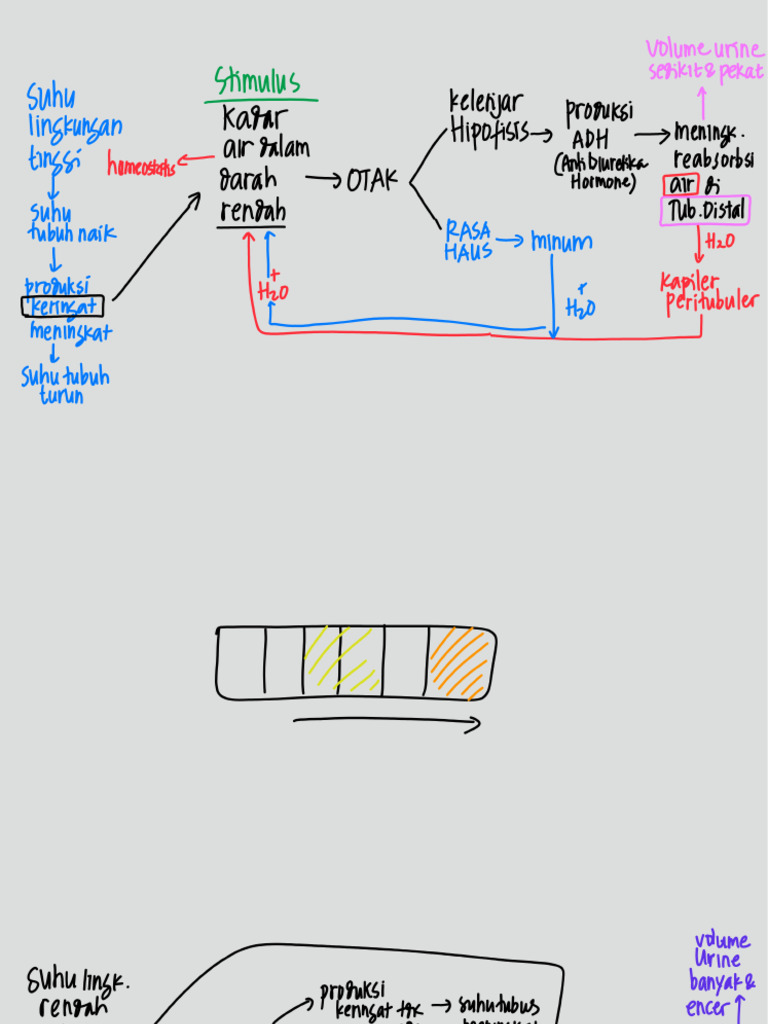 45 D 740 BC 23 | PDF