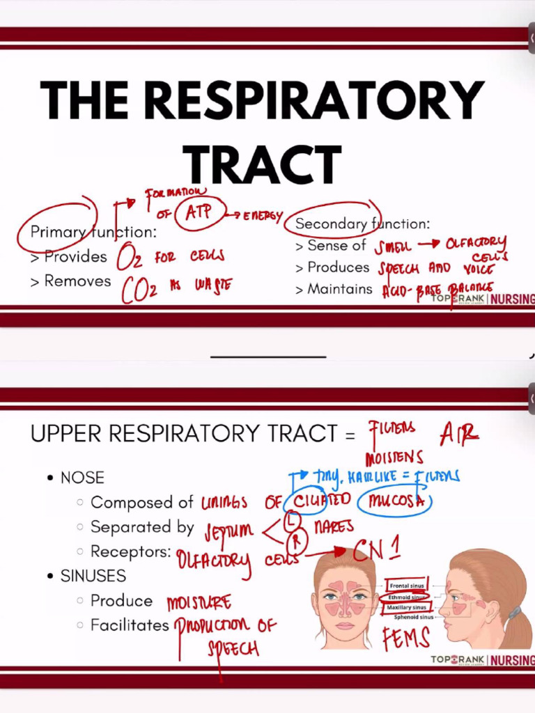 Respi To The Go | PDF