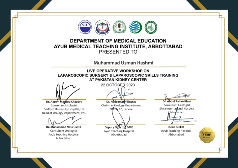 Muhammad Usman Hashmi | PDF