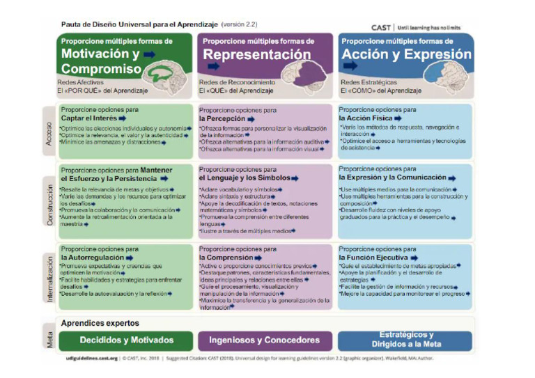 Pauta de Diseño Universal para El Aprendizaje. | PDF