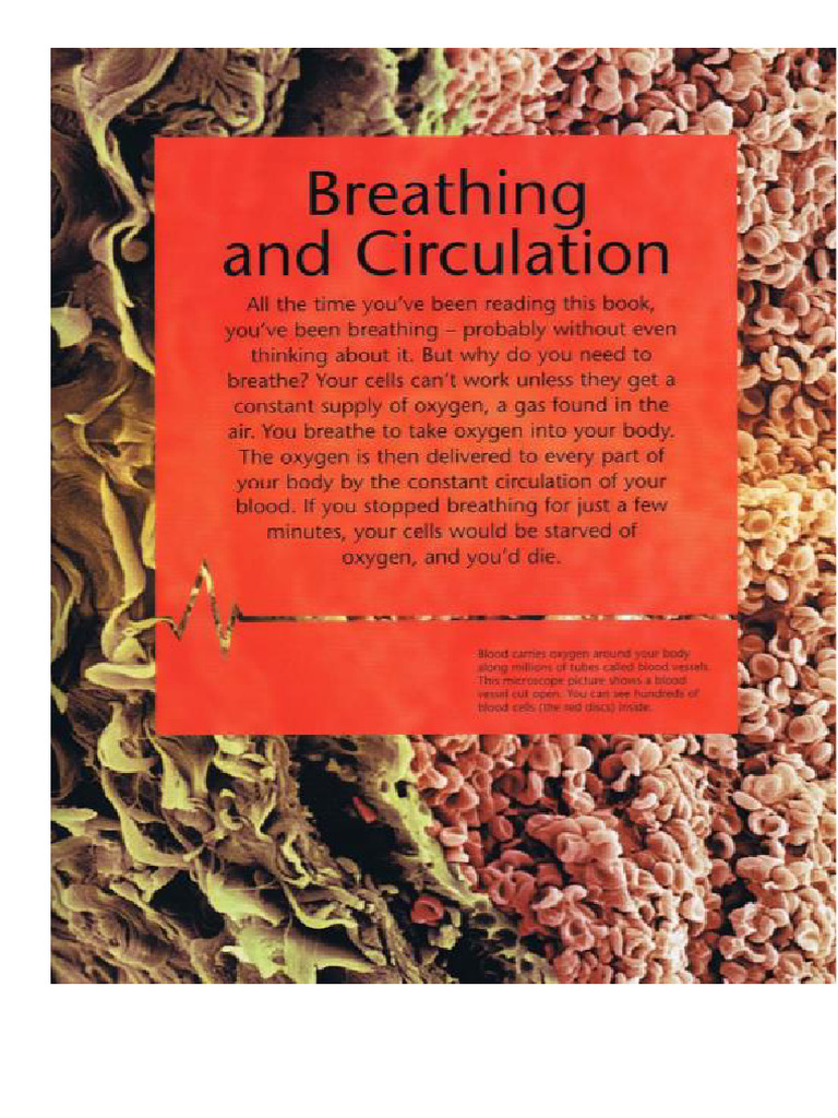 Breathing & Circulation ARM G7 | PDF