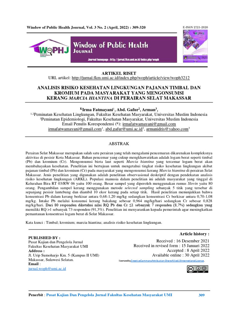 12 +irma+fatmayani+ (1) + | PDF