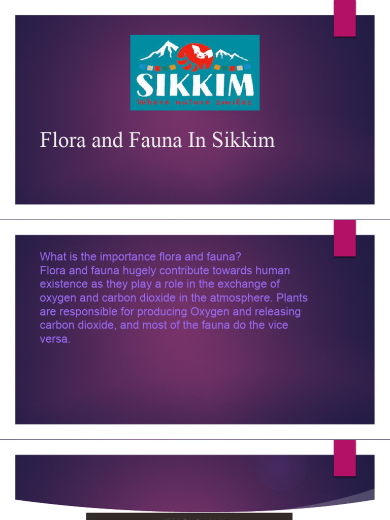 Flora and Fauna in Sikkim Project | PDF | Science & Mathematics