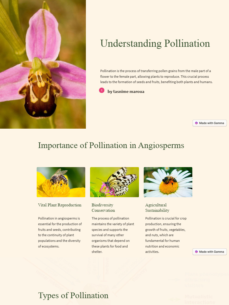 Understanding-Pollination | PDF | Pollination | Flowers