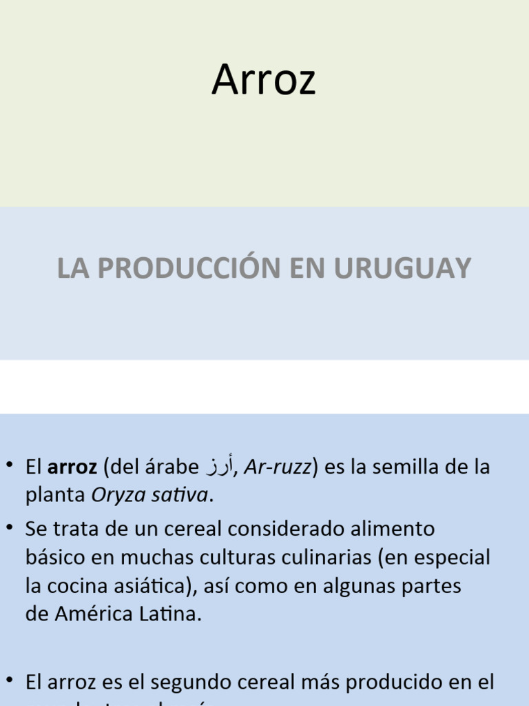 Arroz | PDF | Arroz | Riego