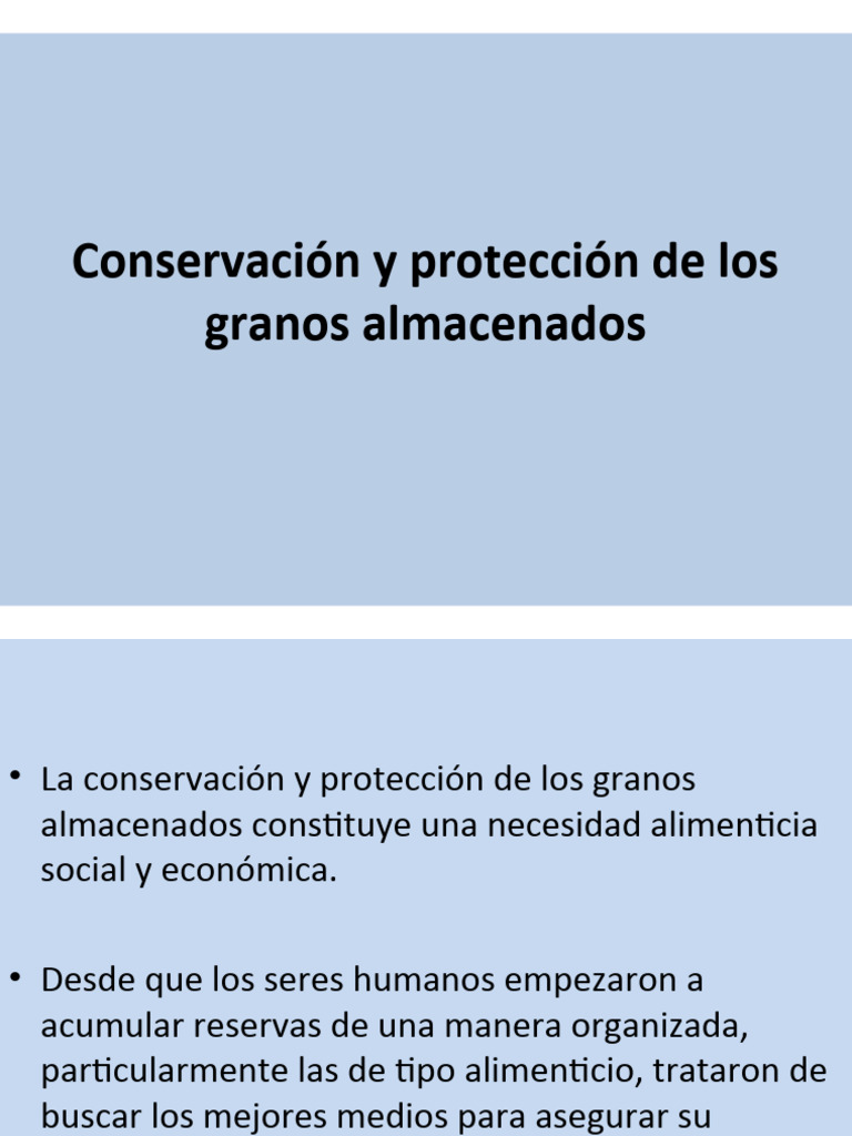 Conservacion y Proteccion de Los Granos Almacenados | PDF | Insectos | Lepidópteros