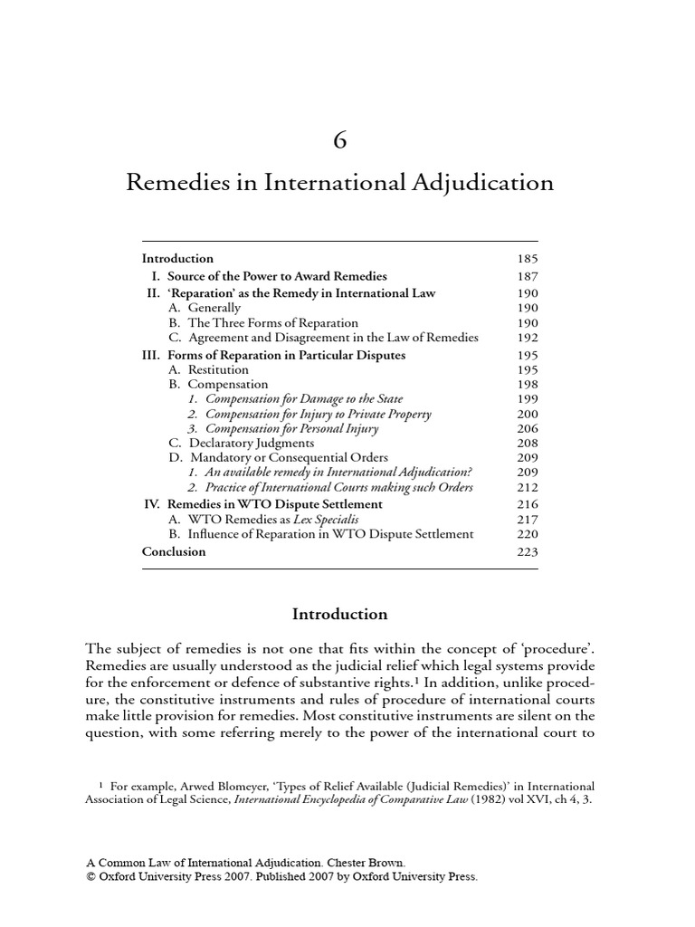 International Adjudication Remedies Explained | PDF | Legal Remedy ...