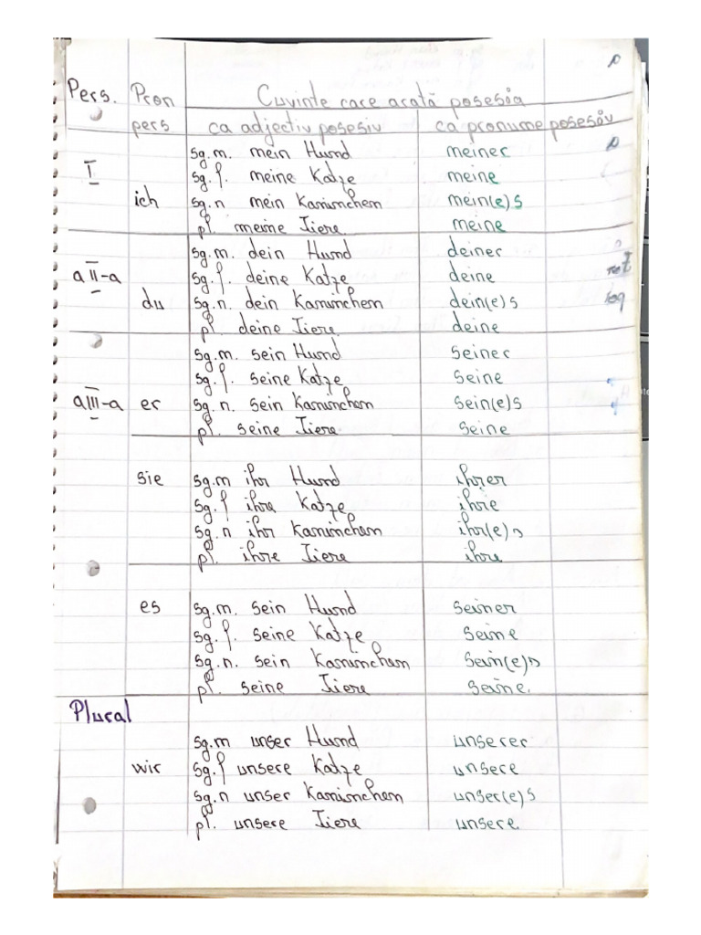 Cuvinte Care Arata Posesia - Adj Si Pron Posesiv-Deutsch | PDF