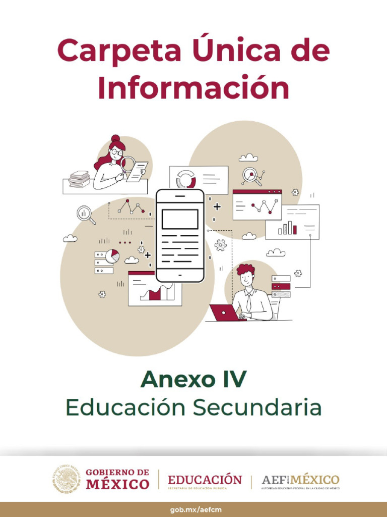 CUI Anexo IV Educacion Secundaria | PDF | México | Ciudad de México