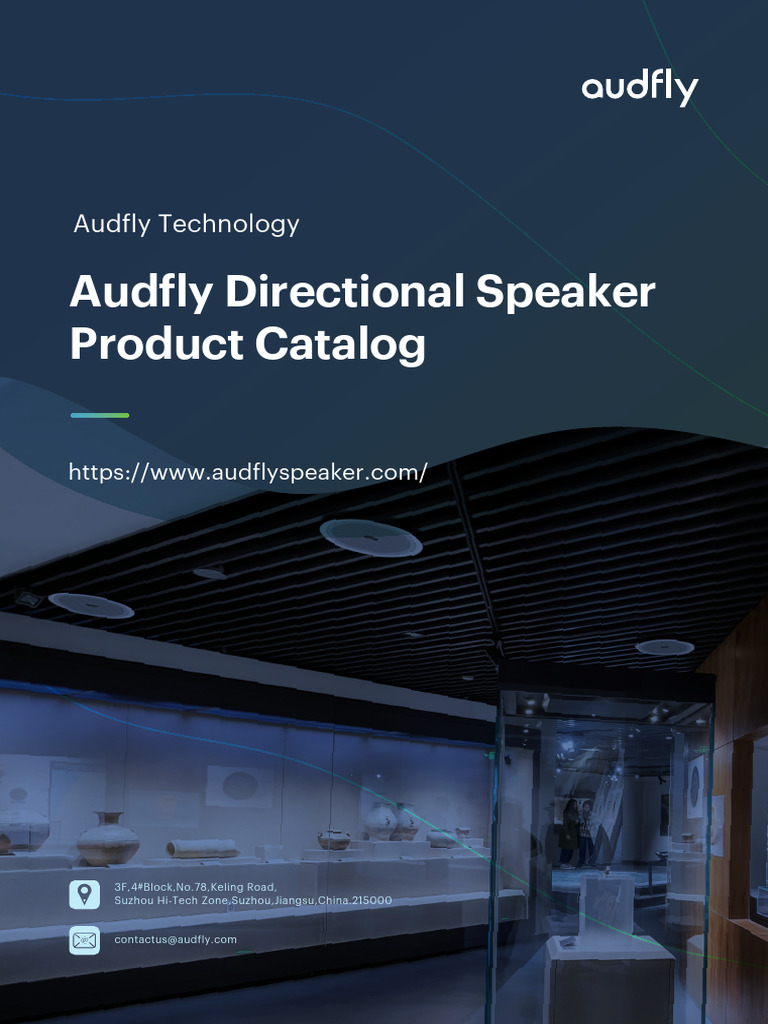 2023 Introduction of Audfly Directional Speaker | PDF | Loudspeaker | Amplifier
